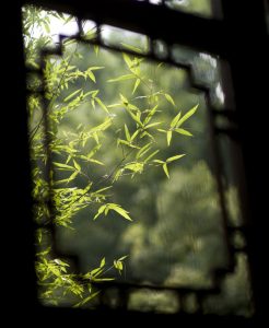 Beautiful Windows in Asian Architecture - Magnifissance