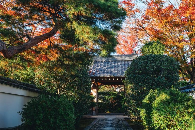 5 Beautiful Japanese Temples: Discover the Power of Tranquility ...