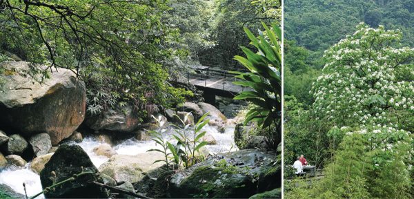 An Unforgettable Trip to Shi-Yang Restaurant in Taiwan - Magnifissance