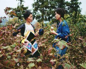 Angel Chang is Reviving the Lost Beauty of Handmade Textiles ...