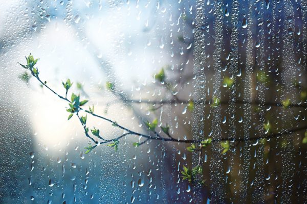 Enjoy the Timeless Beauty of Spring Solar Terms - Magnifissance