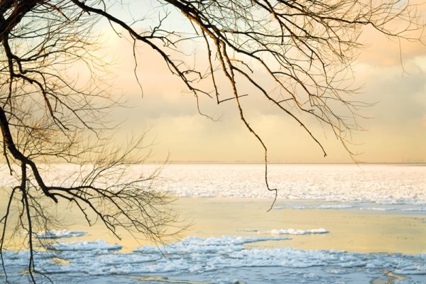 Enjoy the Timeless Beauty of Spring Solar Terms - Magnifissance