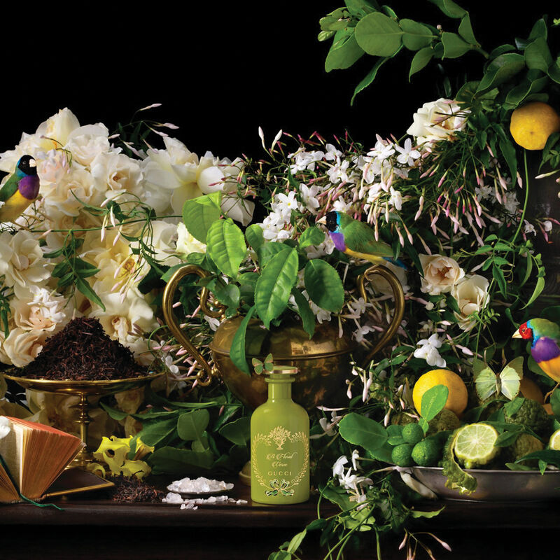 Exclusive Gucci Fragrance Collection: The Alchemist’s Garden
