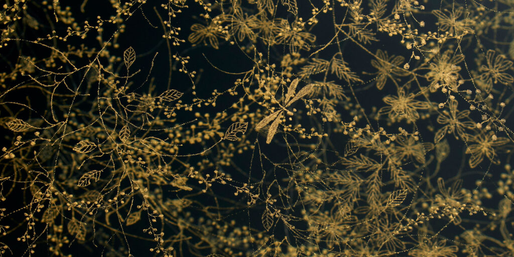 The Fascinating Flower Art of Four Contemporary Artists